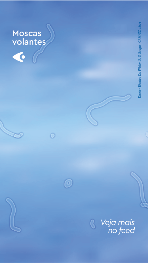 Moscas volantes: o que são, como surgem e como tratar. – Hospital de ...